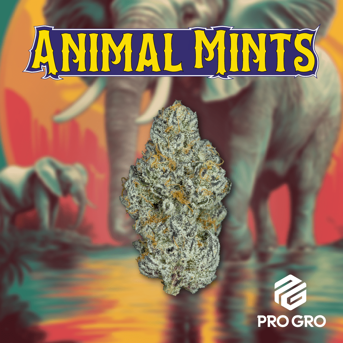 Animal Mints Strain – Premium Hybrid | Pro Gro Cannabis