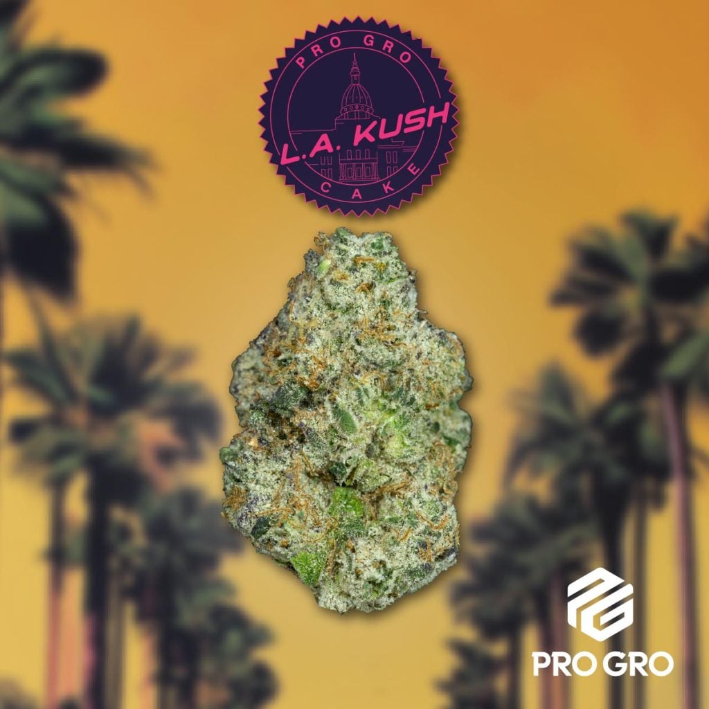 LA Kush Cake Strain – Creamy Indica Hybrid | Pro Gro Cannabis